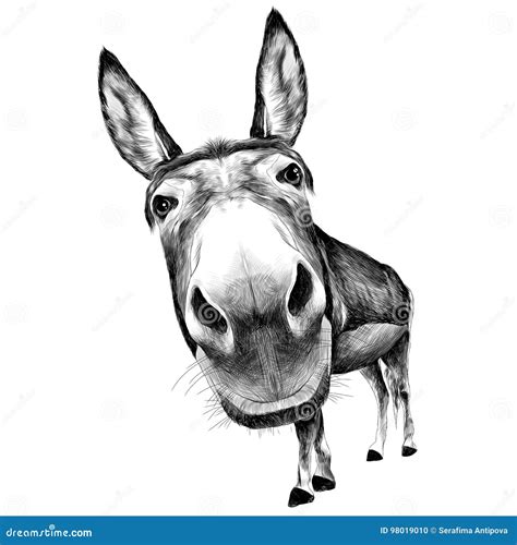 Ass Cartoons Illustrations Vector Stock Images 1214 Pictures To