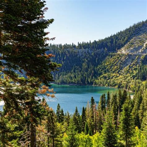 A Travel Guides Warning To Avoid Lake Tahoe May Jolt The Region Into