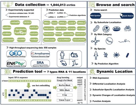 Rnalocate V30 Advancing The Repository Of Rna Subcellular Localization With Dynamic Analysis