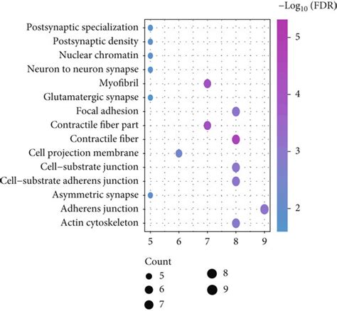 Functional Enrichment Analysis Of Demrnas In The Cerna Network A