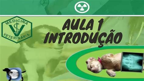 RADIOLOGIA VETERINÁRIA | AULA 01| INTRODUÇÃO - YouTube