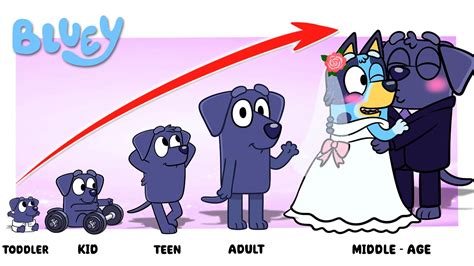 Bluey Grown Up Br