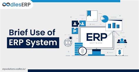 Brief Usage Of Erp System