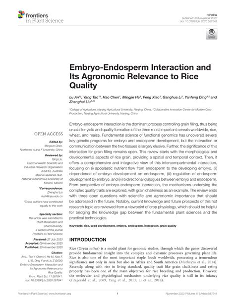 Pdf Embryo Endosperm Interaction And Its Agronomic Relevance To Rice