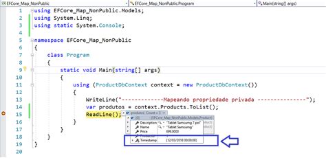 Entity Framework Core Mapeando membros não públicos