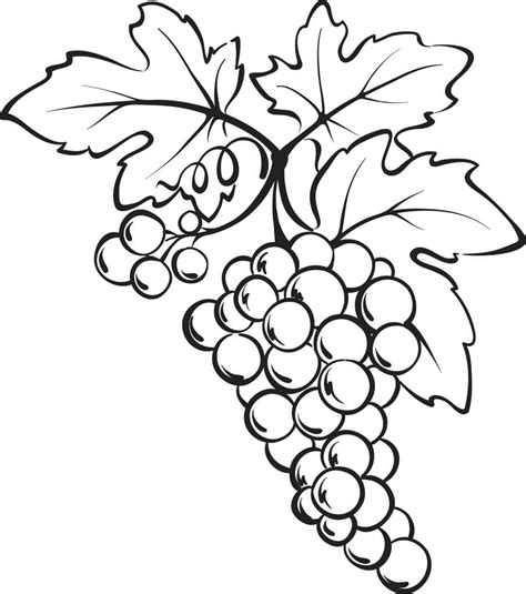 Un Racimo De Uvas Para Colorear Imprimir E Dibujar Coloringonlycom