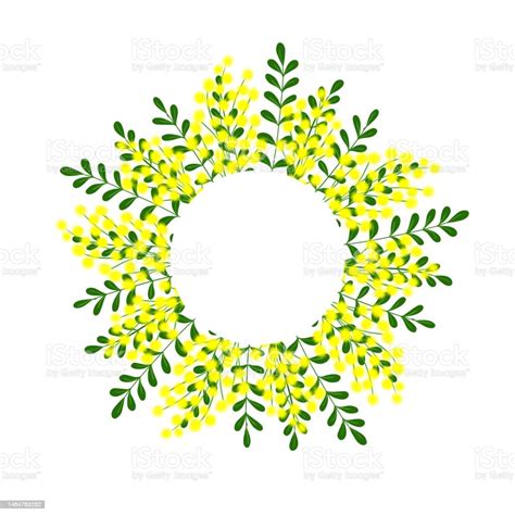 흰색 배경에 격리된 미모사 꽃 둥근 프레임 손으로 그린 화환 식물 스케치 디자인 배너 레이블 화장품 인사말 카드 청첩장에 대한 벡터 꽃 템플릿 0명에 대한 스톡 벡터 아트
