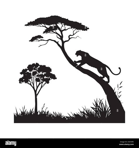 Leopard Silhouettes Vector Illustrations Eps 10 High Quality Fully Editable File On A White