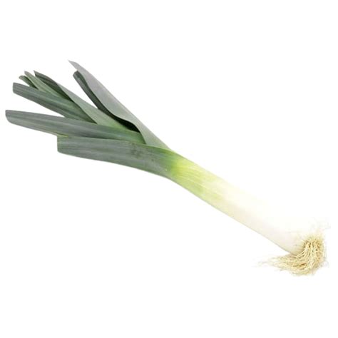 Lauch