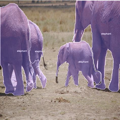 How To Export Onnx And Save Quantized Onnx Model · Issue 68 · Openpplppq · Github