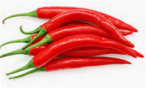 Cabai Merah Besar