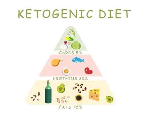 10484865 Keto Food Pyramid Stock Illustrations Depositphotos