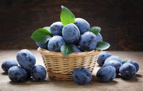 The Plum Spiritual Meaning A Deeper Look