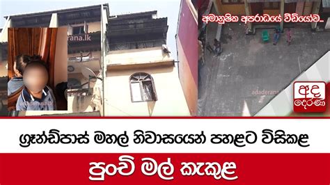 ග්‍රෑන්ඩ්පාස් මහල් නිවාසයෙන් පහළට විසිකළ පුංචි මල් කැකුළ Youtube