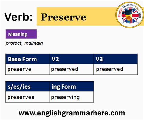 Preserve V1 V2 V3 V4 V5 Past Simple And Past Participle Form Of Preserve English Grammar Here