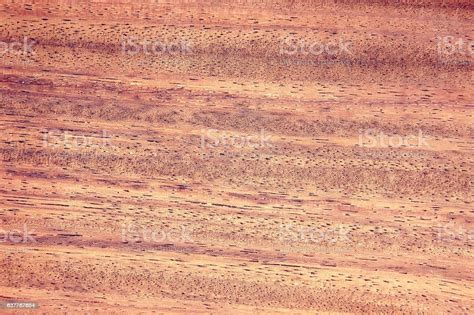 Wood Texture 照片檔及更多 具有特定質地 照片 具有特定質地 古董 咖啡色 Istock