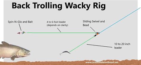 Back Trolling For Salmon A Complete How To Guide 2025