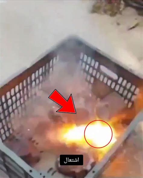هل سبق لك ان رأيت هذا؟💀 😯 Youtube