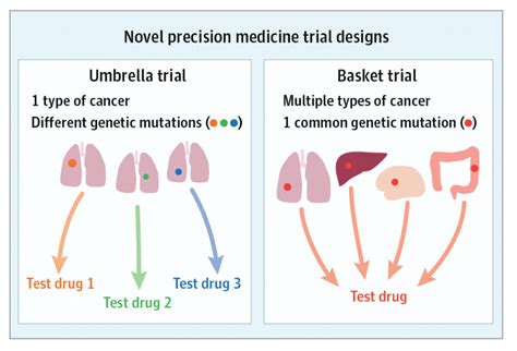 Basket Trials For Cancer Treatments Cofactor Genomics