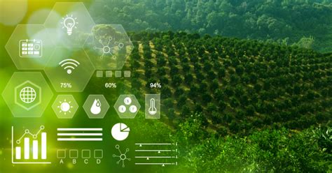 How Data Visualization In Agriculture Drives Smarter Farming