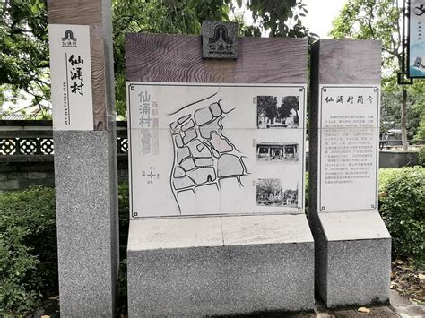 白歌 户以花为业村以花出名的仙涌村 搜狐大视野 搜狐新闻