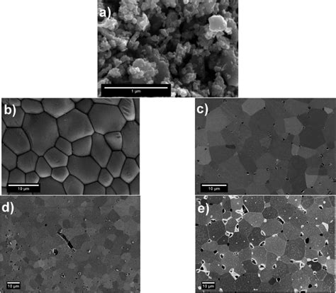 The Sem Micrographs Secondary Electron Image Mode Of A Commercial