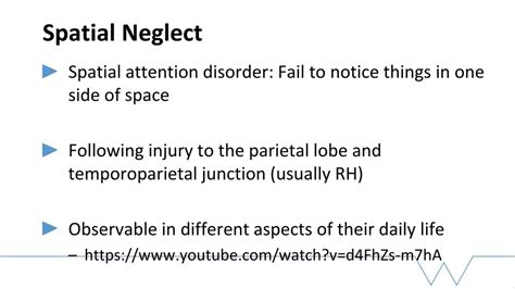 Ppt Cognitive Neuropsychology Powerpoint Presentation Free Download Id 866757