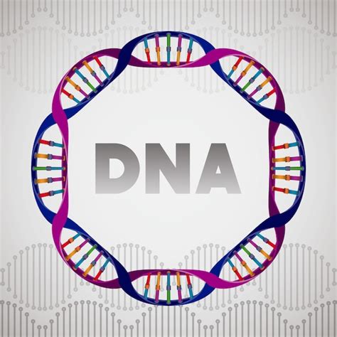 Premium Vector Dna Molecule Circular Structure