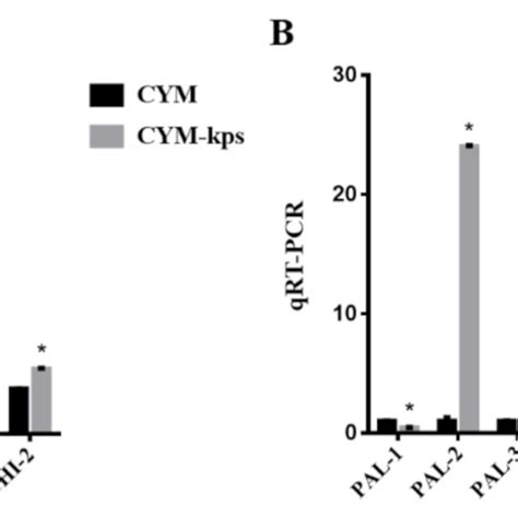 transcript levels of the homologous genes encoding key enzymes involved