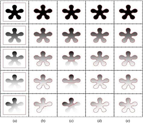 segmentation of a flower object using different contrast variations