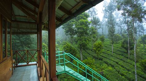 Munnar Treehouse Package Kerala Treehouse Holiday