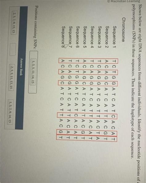 Solved Shown Below Are Eight Dna Sequences From Different