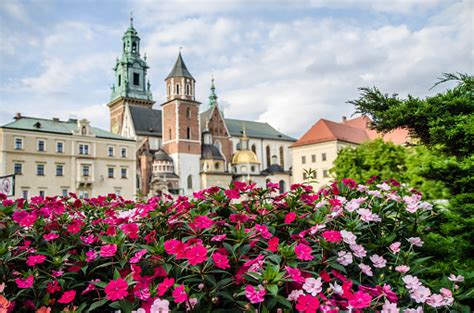 전경 여름 낮에 꽃으로 크 라 코 프 폴란드에 Wawel 대성당 0명에 대한 스톡 사진 및 기타 이미지 0명 건물 외관