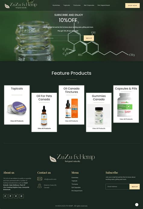 Custom Software And Mobile App Development Company Hoi Solutions