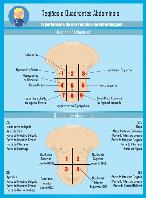 Regiões E Quadrantes Abdominais Enfermagem Ilustrada Enfermagem