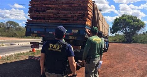 VOZ DE ILHA GRANDE Polícia apreende carga de madeira ilegal na BR 343