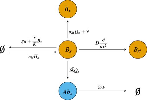 Diagram Illustrating The Dynamics Of Eqs 1 And 2 Here The Symbol Download Scientific
