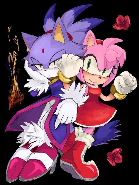 Amy Rose And Blaze The Cat Sonic And More Drawn By Zarenix P Ctur Danbooru