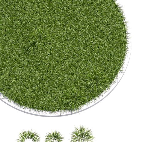 Simple Grass Model Free 3d Model Cgtrader