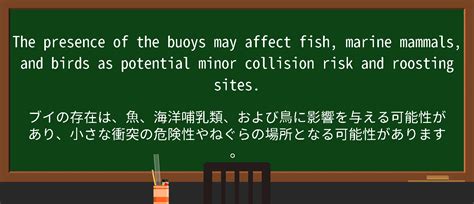 【英単語】minor collisionを徹底解説！意味、使い方、例文、読み方 おもしろい英文法