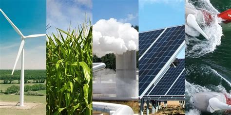 Renewable Resources Examples