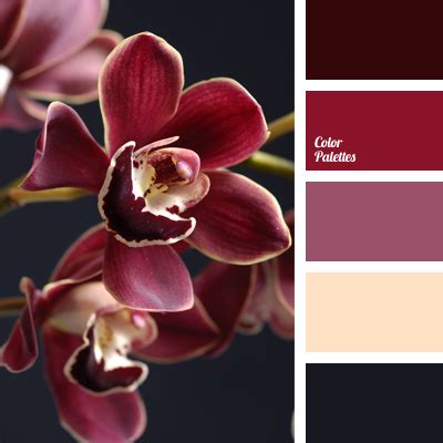 Colour Of Burgundy Orchids Color Palette Ideas For Your Inspiration