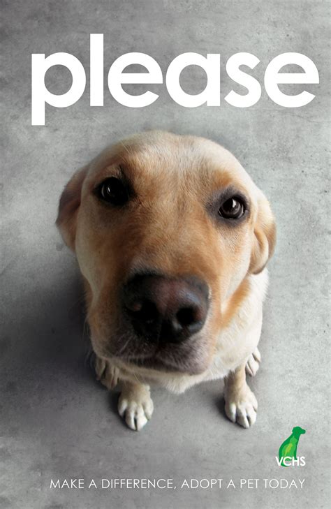 Humane Society Poster On Behance