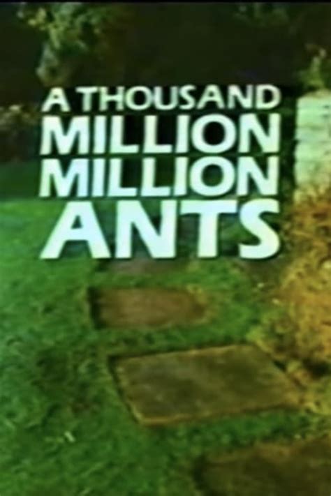 A Thousand Million Million Ants 1985 — The Movie Database Tmdb
