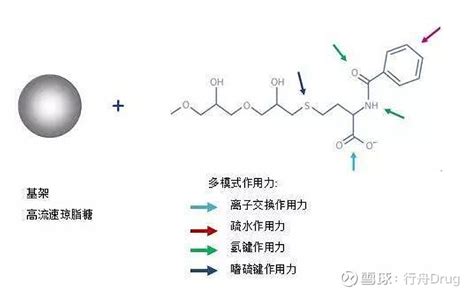 单抗、双抗及adc类抗体下游纯化工艺 随着1997年第一个人源化单克隆抗体药物的投放市场，单抗以期特异性高，副作用小，纯化工艺简单等优势在治疗