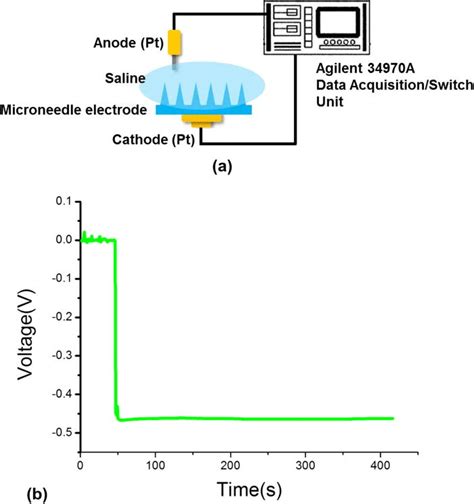 Polarization Voltage Test Results A Experimental Setup For Recording