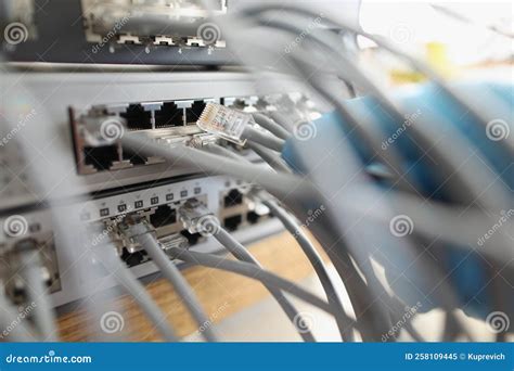 Server Switch Panel Patch Cord Connection Close Up Stock Image Image Of Current Patch