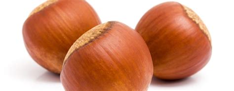 Does Hazelnut Expire Iran Dried Fruit Does Hazelnut Expire