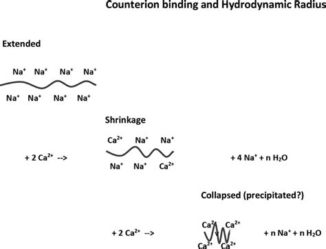 10 Schematic Representation Of The Relationship Between Divalent Ion