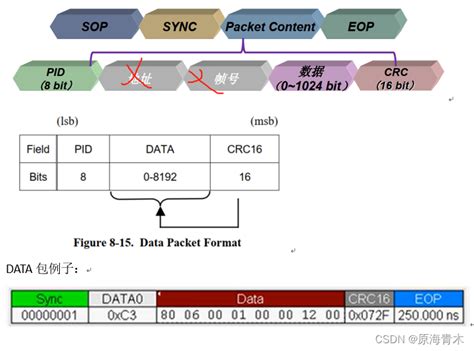 Usb20学习4 Usb包结构和包类型usb数据包格式及分析 Csdn博客